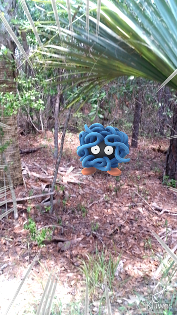 Pokemon Go: Adventures on Nature Island – Many Welps